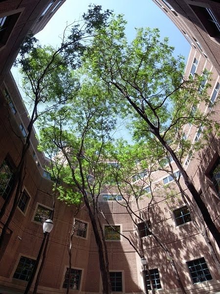 25 Most Impressive University Conference Centers - Human Resources Degrees