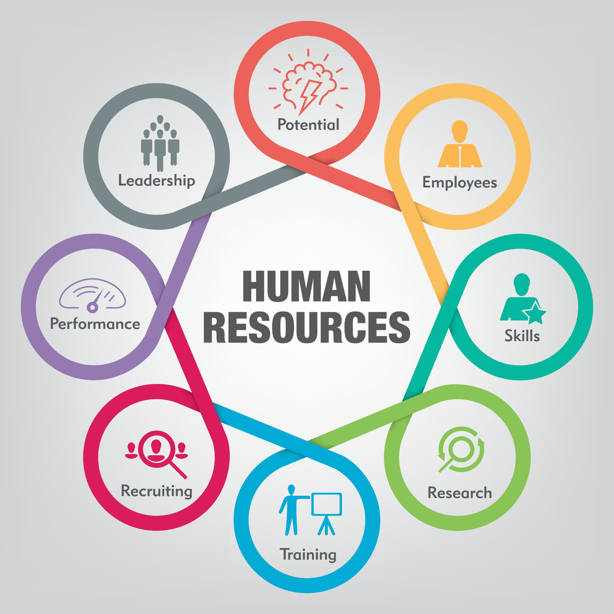 Degrees in HR: The Best Human Resources Bachelor's Degrees